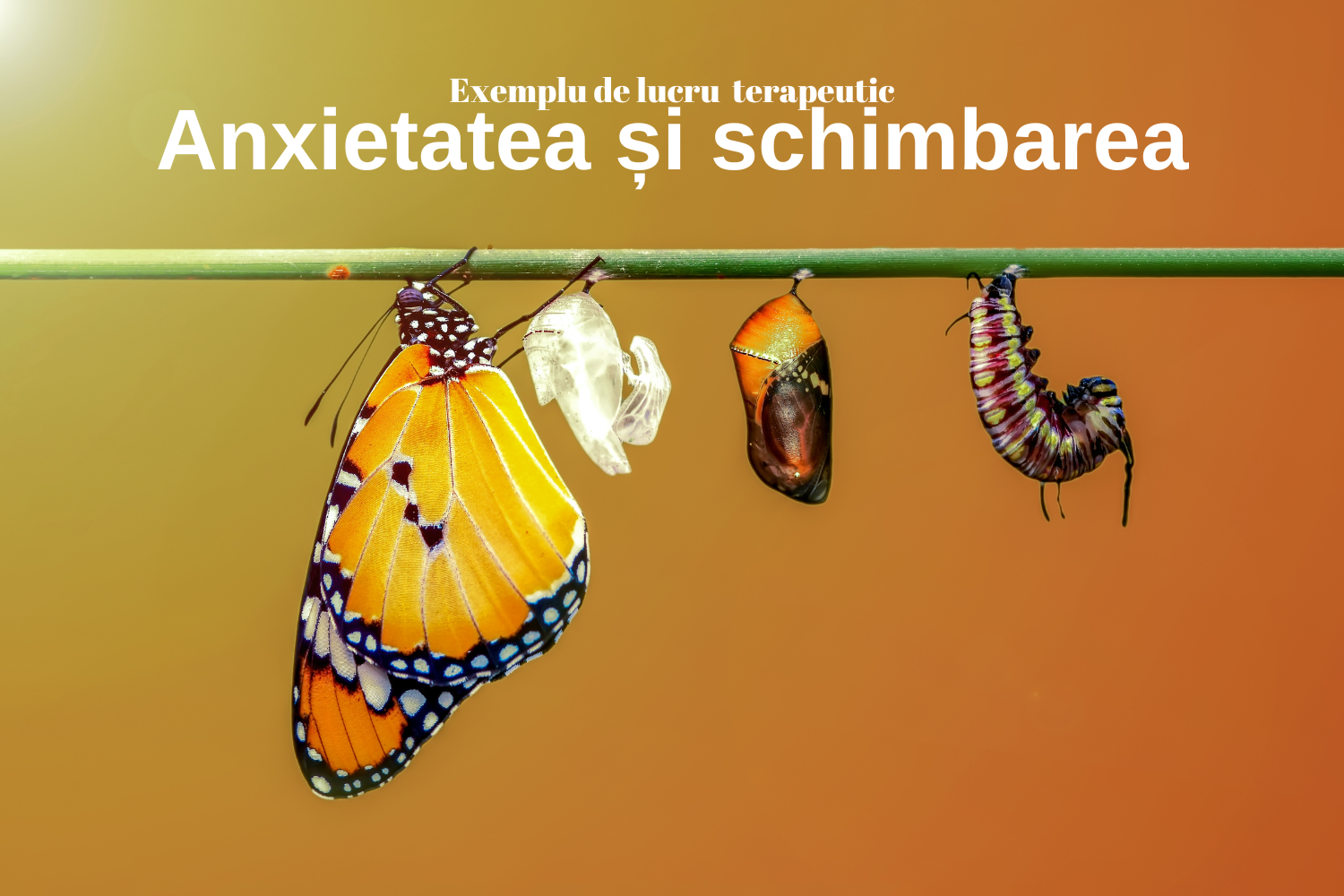 Tehnici terapeutice: primul pas spre gestionarea anxietății - Anca ...
